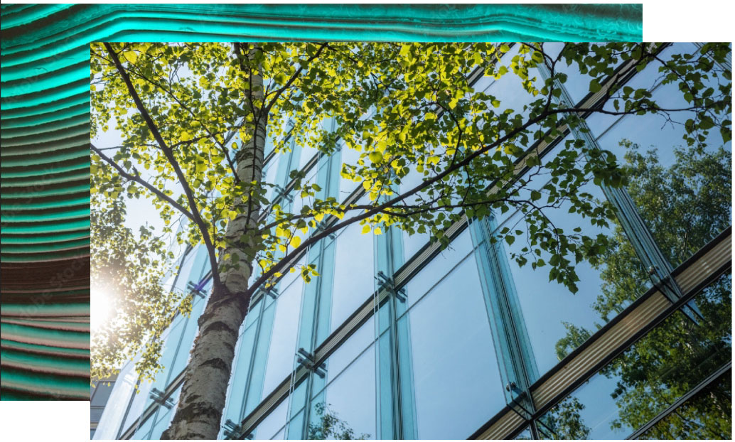 Sustainability | Palistar